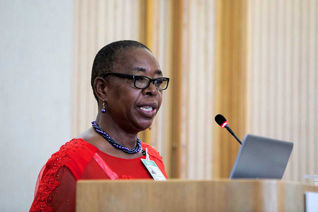 African Women’s Collaborative for Healthy Food Systems · Elizabeth ...